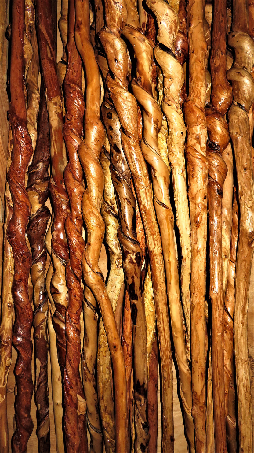 Kentucky Walking Stick