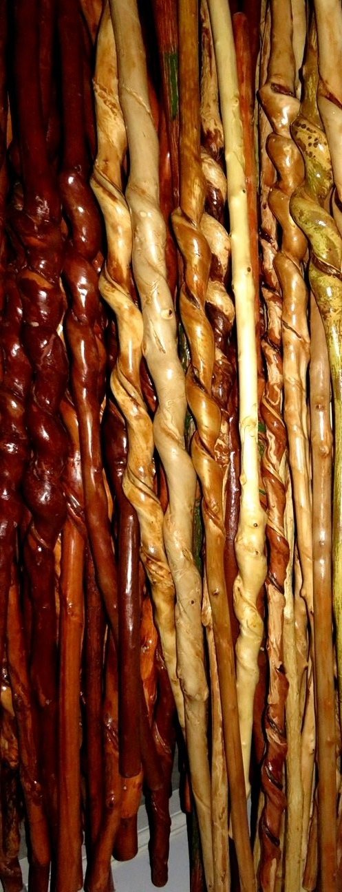 Kentucky Walking Stick